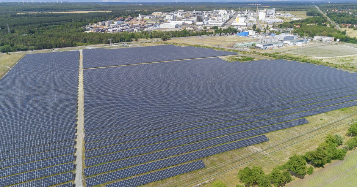 BASF und enviaM nehmen Solarpark in Schwarzheide in Betrieb - CDI